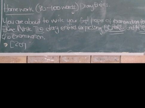 Homework (80-100 words) Diary Entries. You | StudyX
