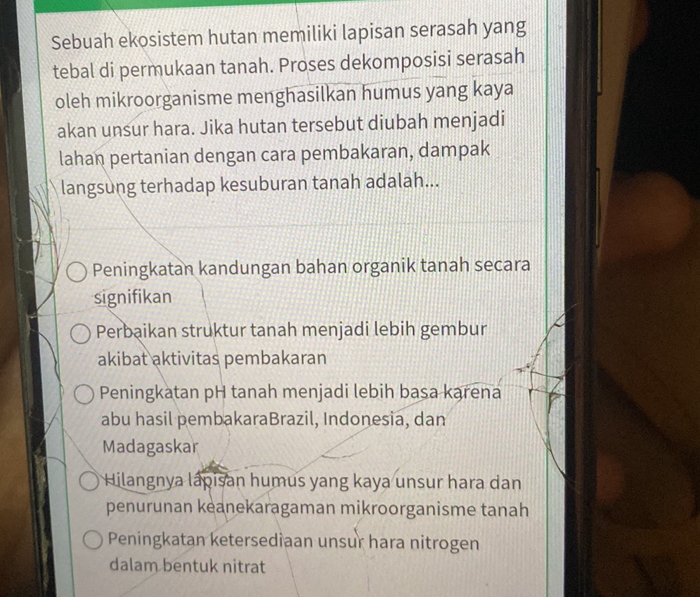 Sebuah ekosistem hutan memiliki lapisan | StudyX