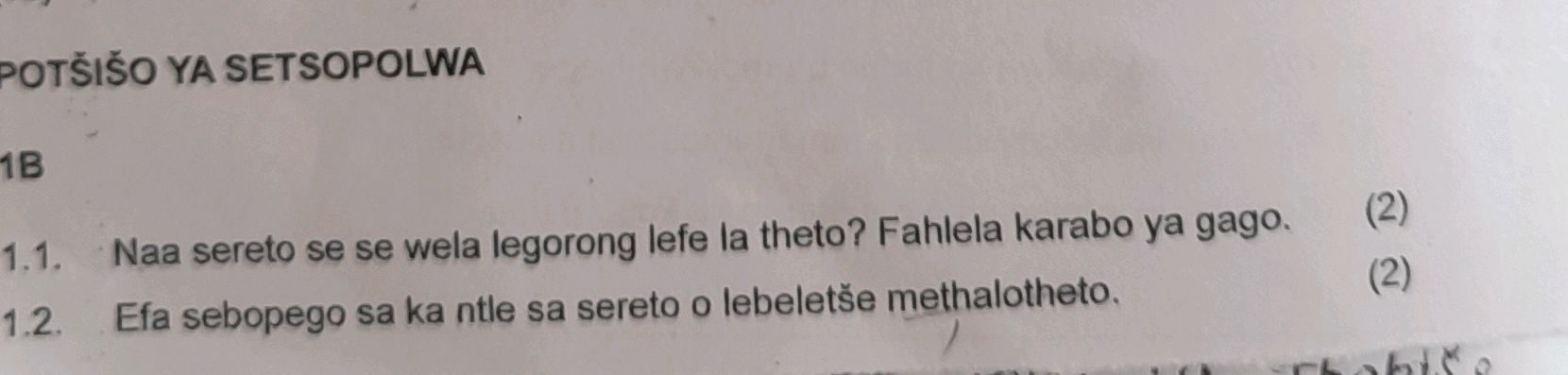 1.1. Naa sereto se se wela legorong lefe la | StudyX