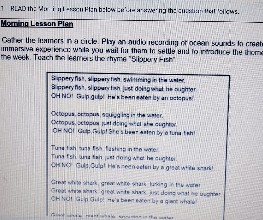 READ the Morning Lesson Plan below before | StudyX