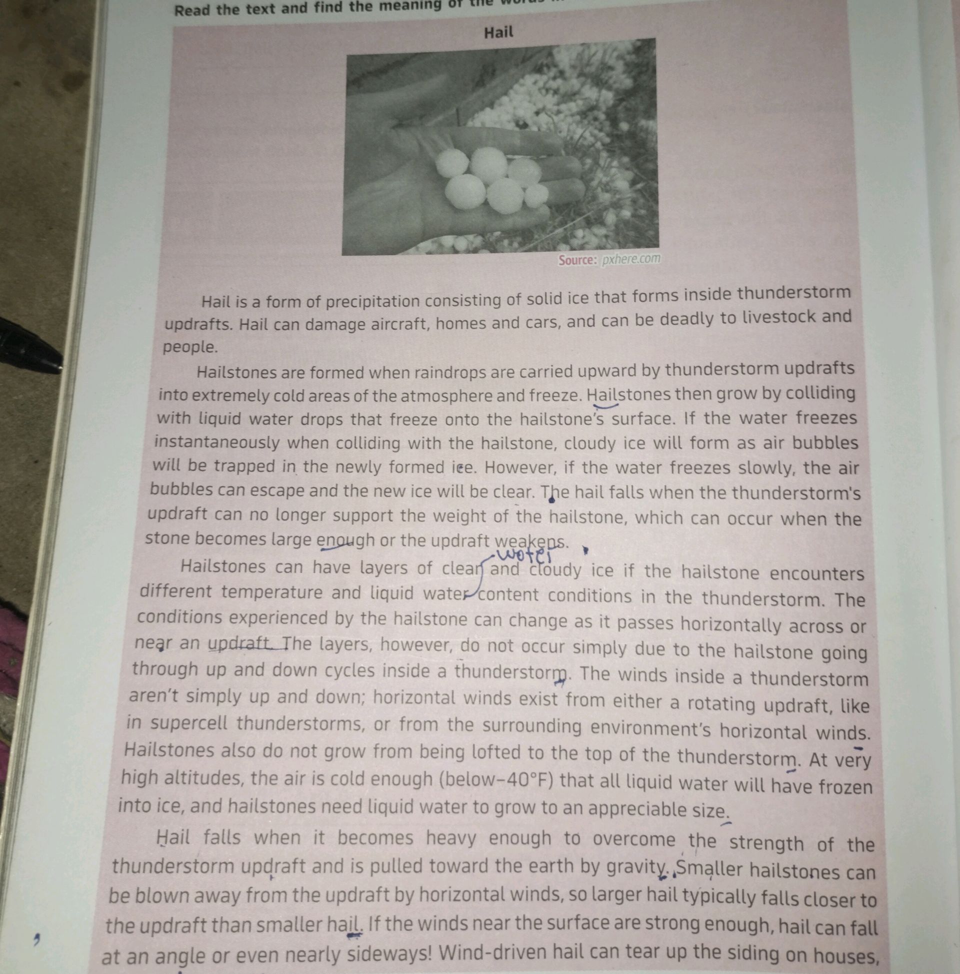 Read the text and find the meaning of the | StudyX