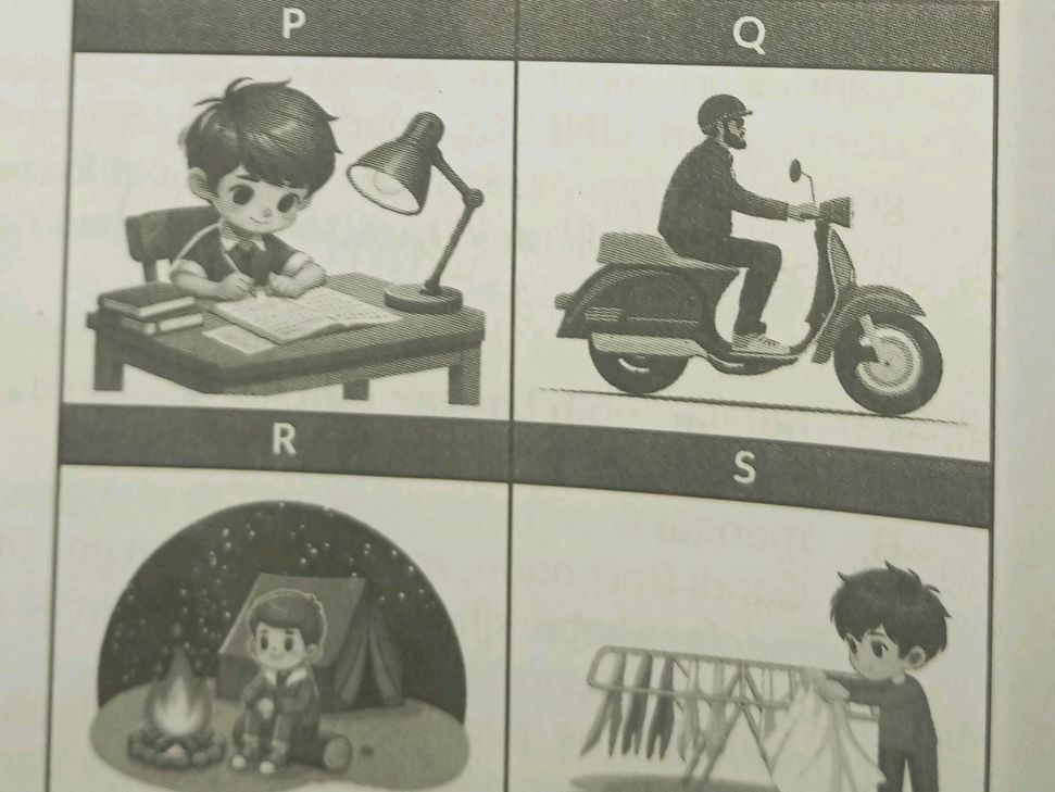 The image contains four panels labeled P, Q, | StudyX