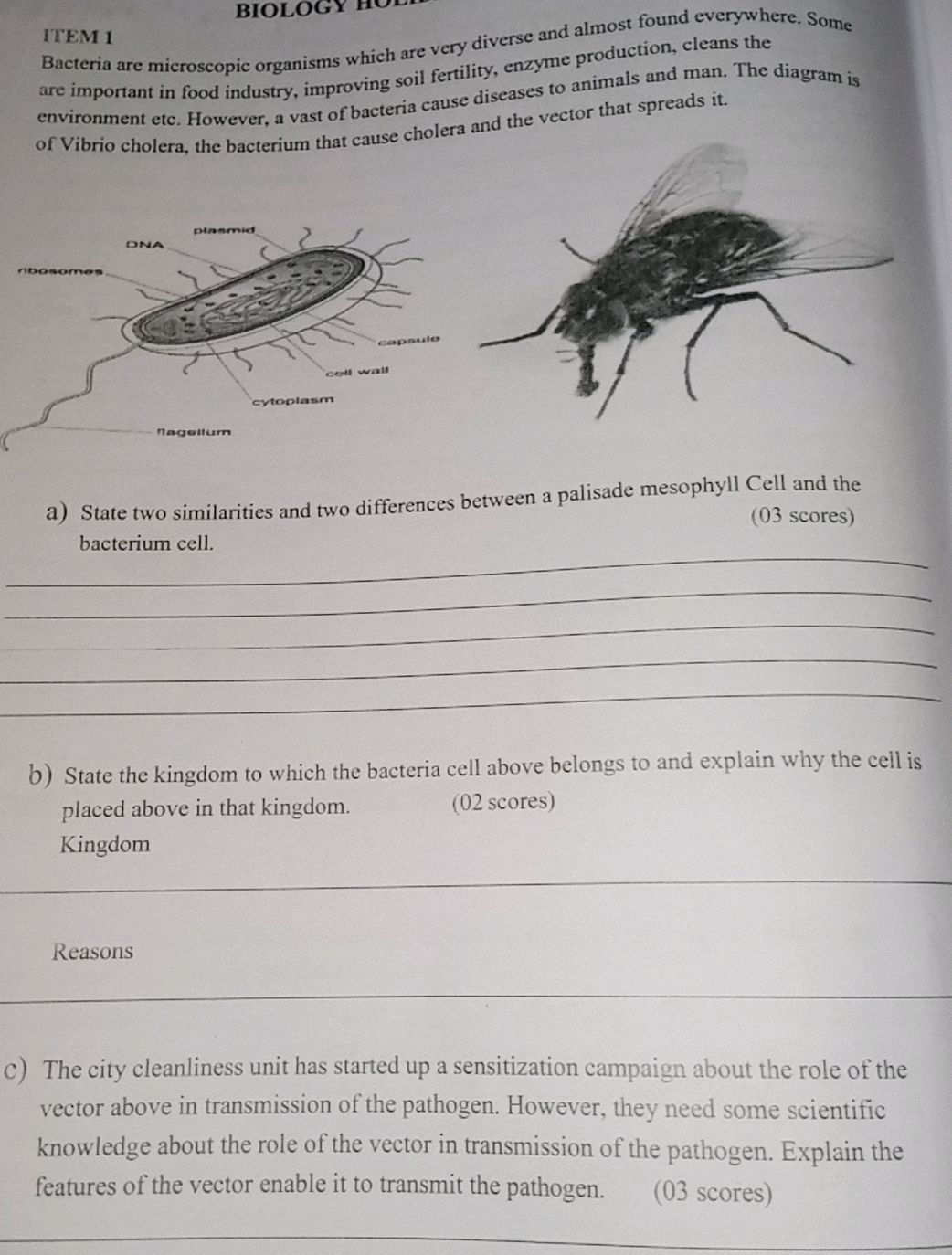 a) State two similarities and two | StudyX