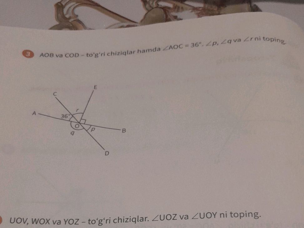 3 AOB va COD - to'g'ri chiziqlar hamda AOC | StudyX