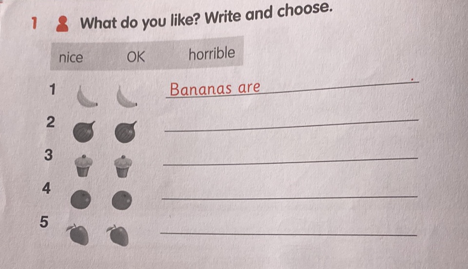 What do you like? Write and choose. | nice | StudyX