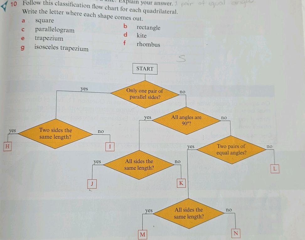 10 Follow this classification flow chart for | StudyX