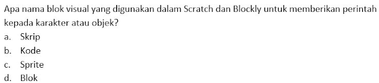 Apa nama blok visual yang digunakan dalam | StudyX