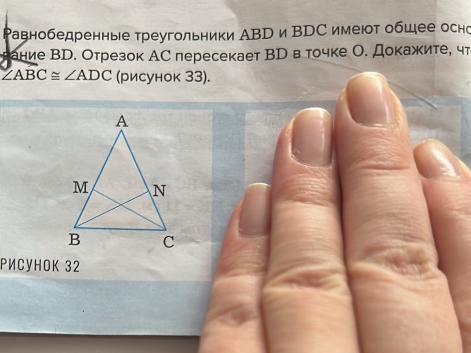 Равнобедренные треугольники ABD и BDC имеют | StudyX