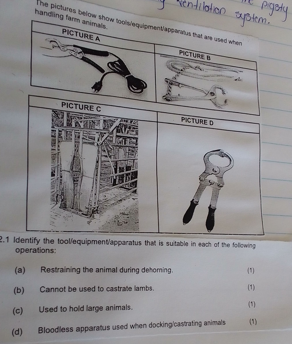 The pictures below show | StudyX
