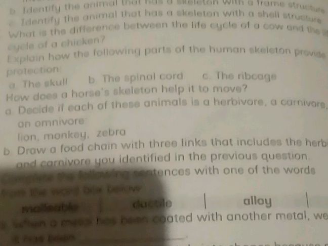 Identify the animal that has a skeleton with | StudyX