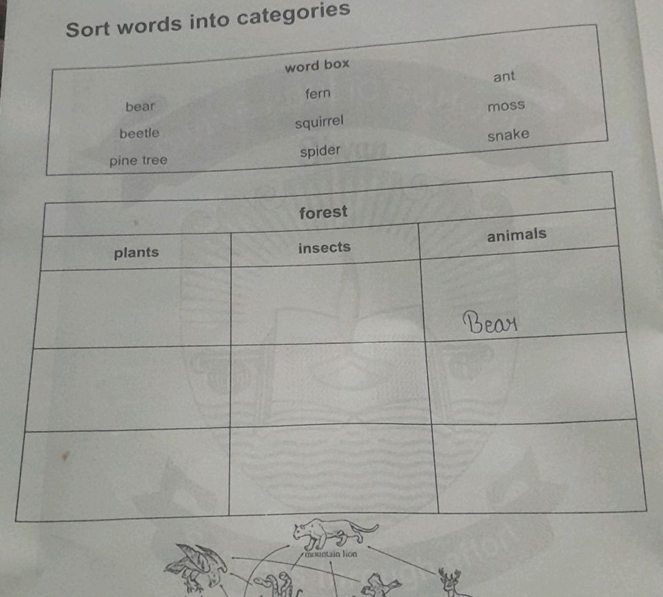 Sort words into categories | plants | | StudyX
