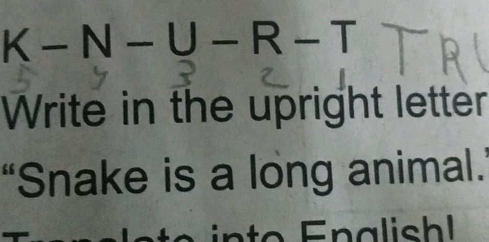 K-N-U-R-T TRU Write in the upright letter | StudyX