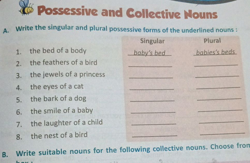 A. Write the singular and plural possessive | StudyX