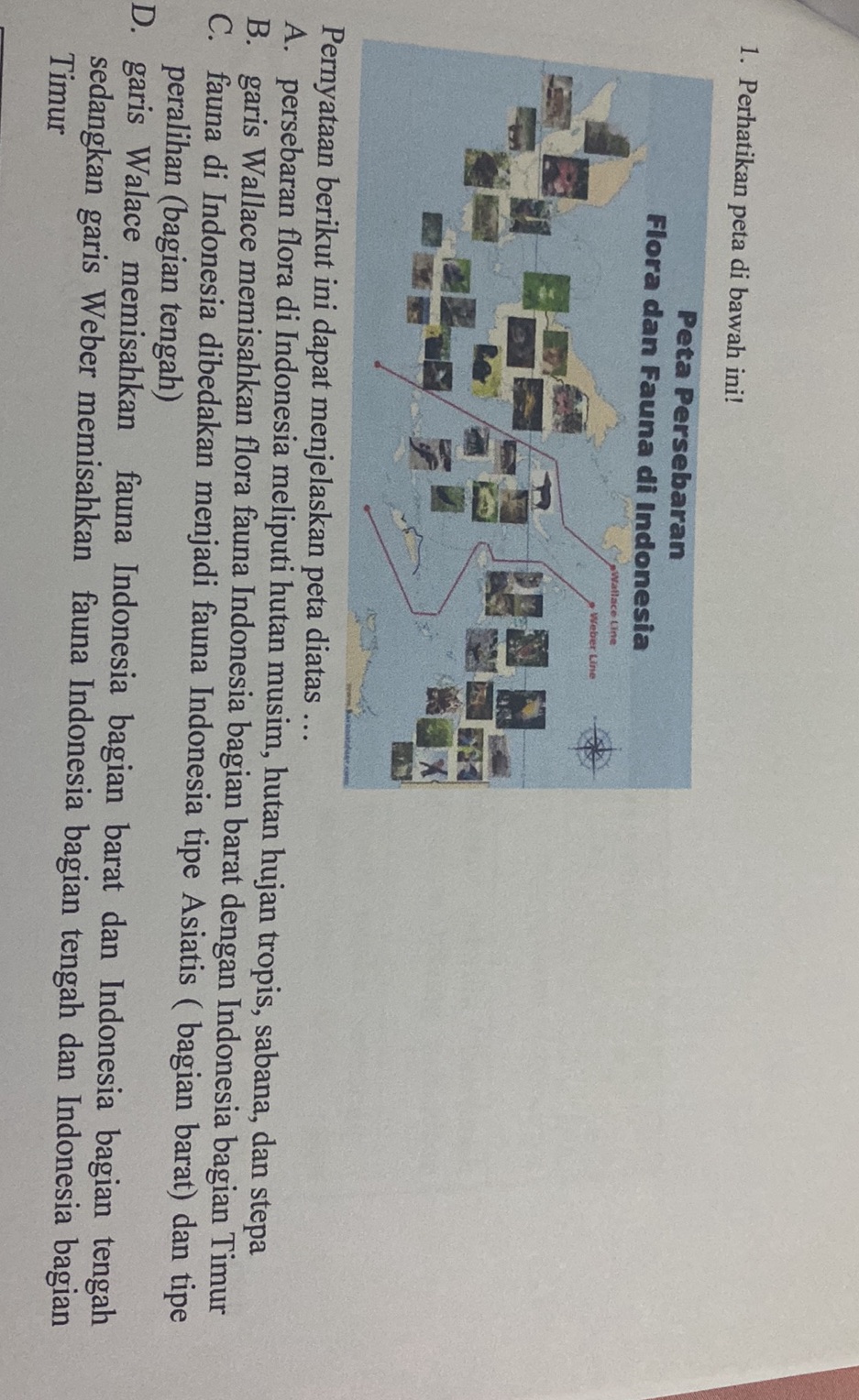 1. Perhatikan peta di bawah ini! Peta | StudyX