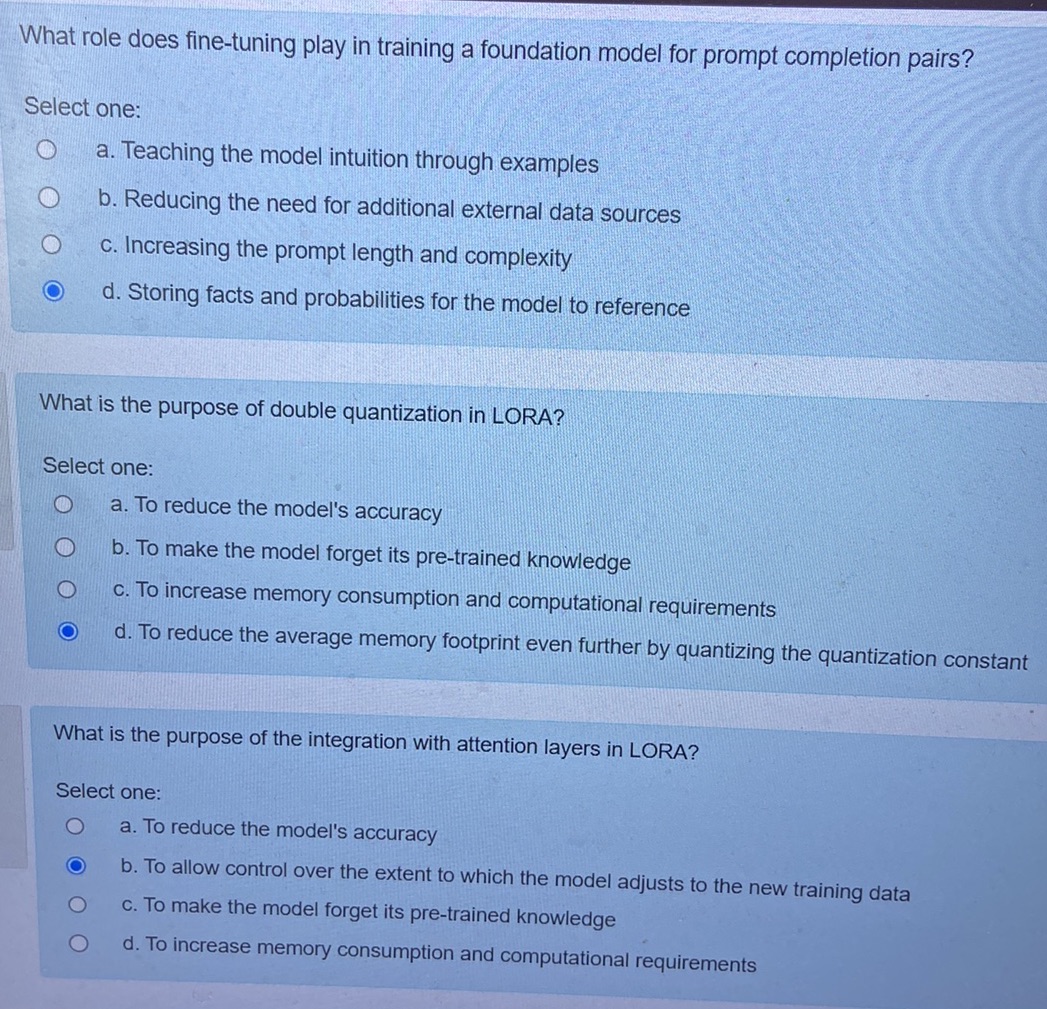 What role does fine-tuning play in training | StudyX