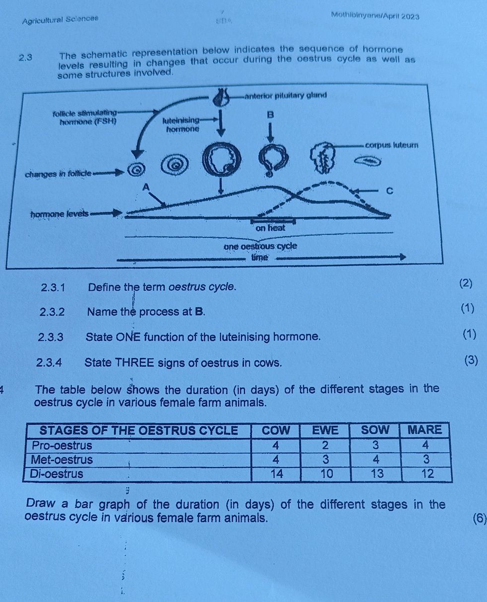 2.3 The schematic representation below | StudyX