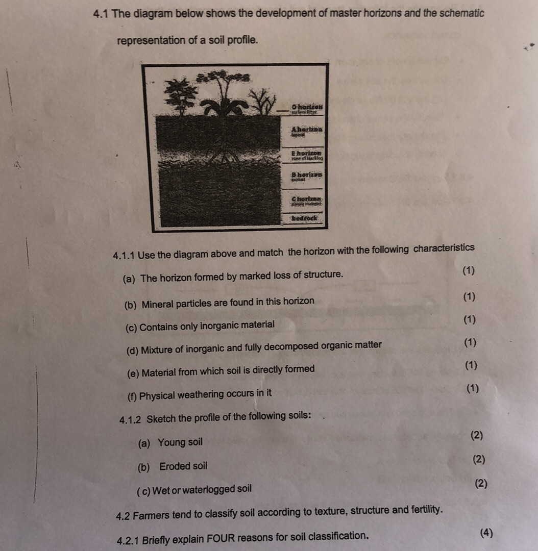 4.1 The diagram below shows the development | StudyX