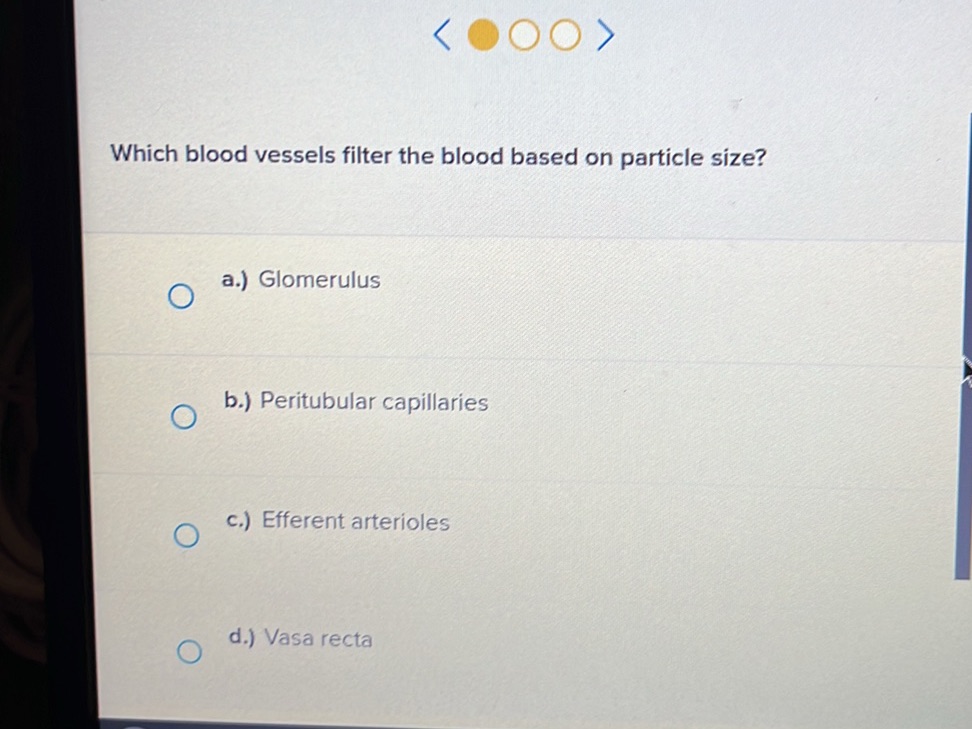 Which blood vessels filter the blood based | StudyX