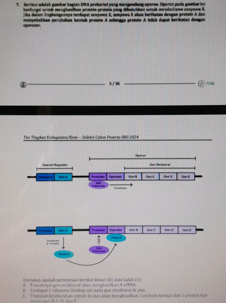 7. Berikut adalah gambar bagian DNA | StudyX