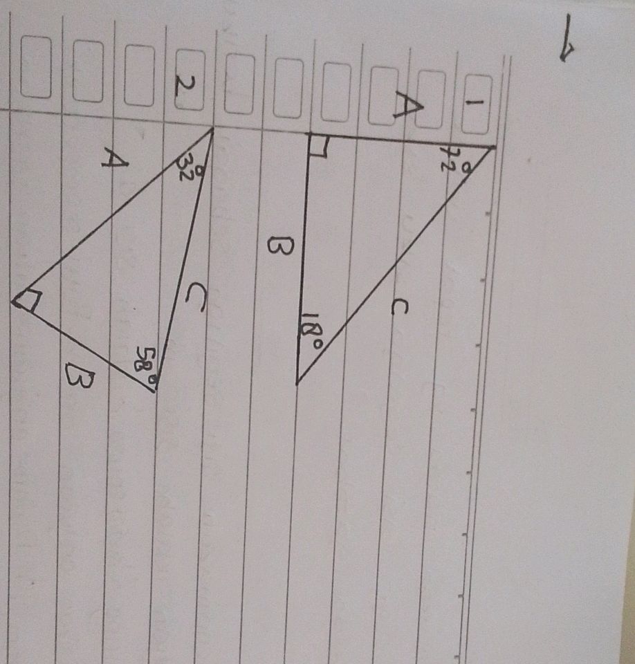 The image contains two triangles with | StudyX