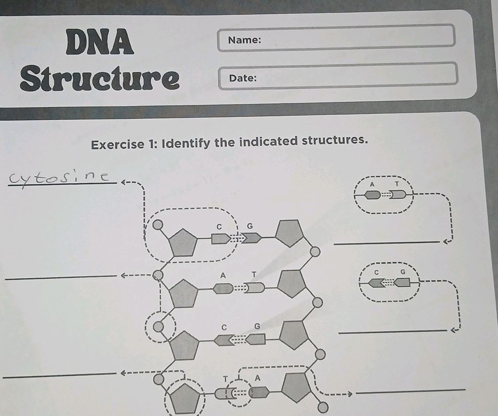 Exercise 1: Identify the indicated | StudyX
