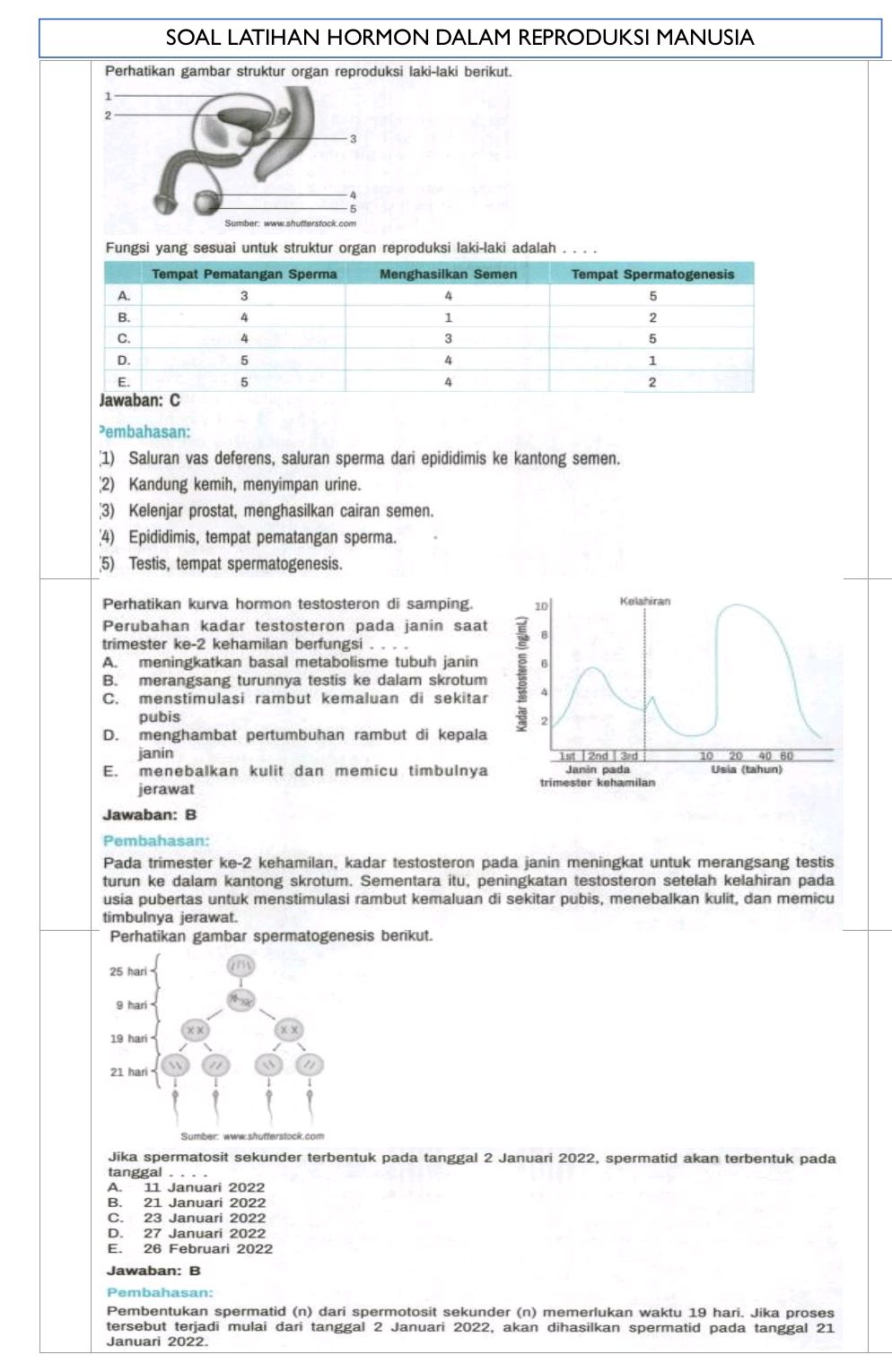 Perhatikan gambar struktur organ reproduksi | StudyX