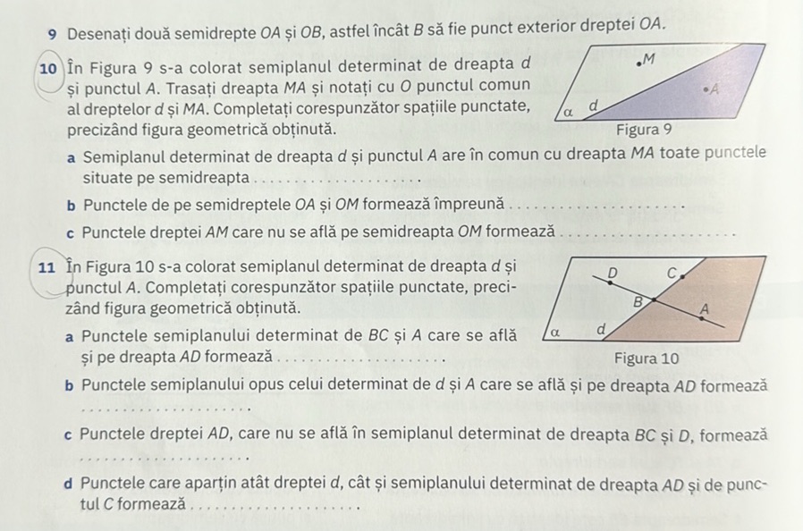 10 În Figura 9 s-a colorat semiplanul | StudyX