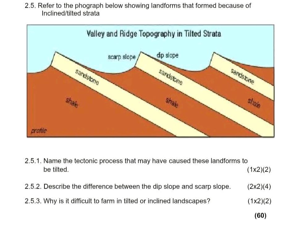 2.5. Refer to the phograph below showing | StudyX