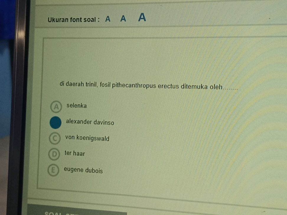 di daerah trinil, fosil pithecanthropus | StudyX