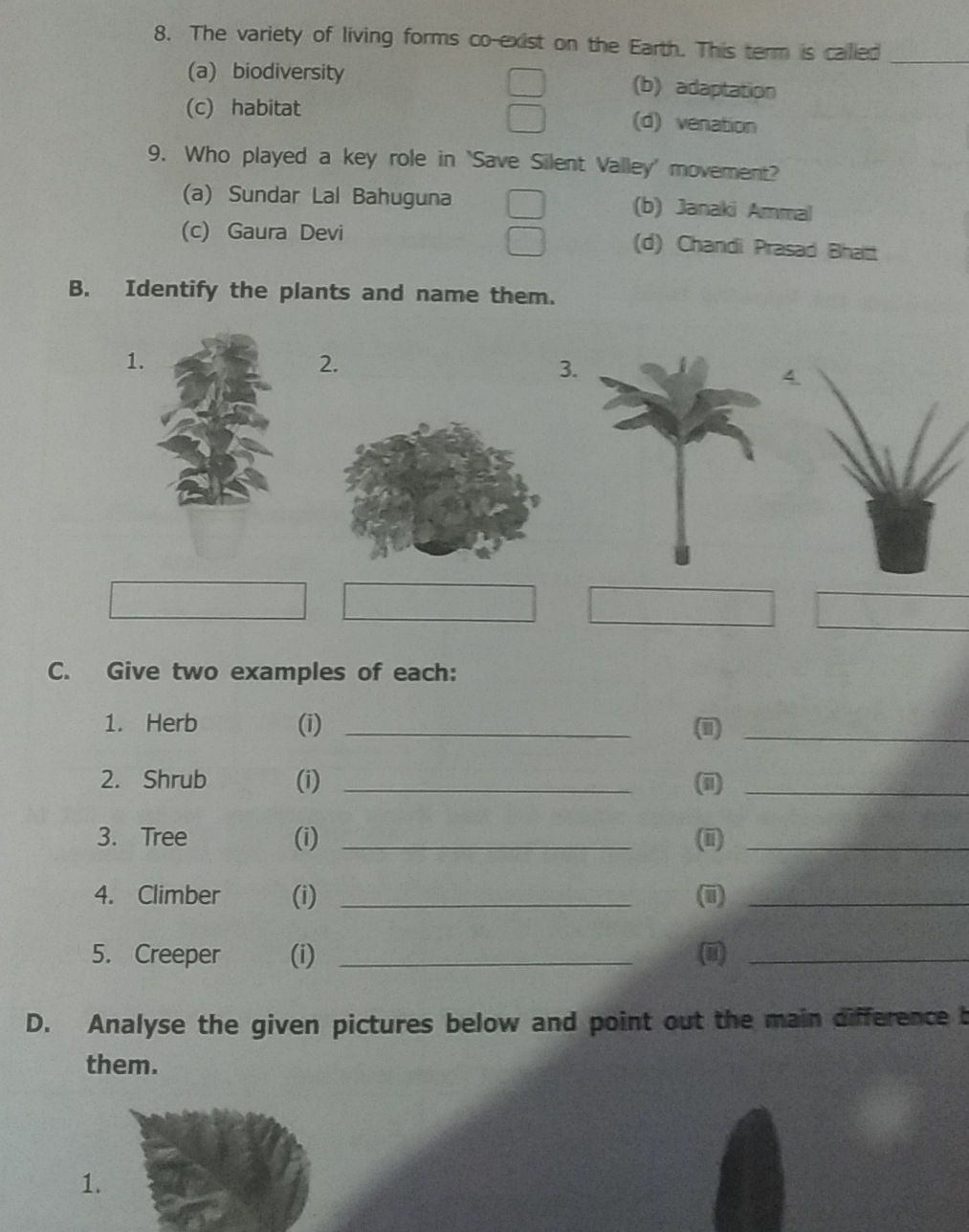 8. The variety of living forms co-exist on | StudyX