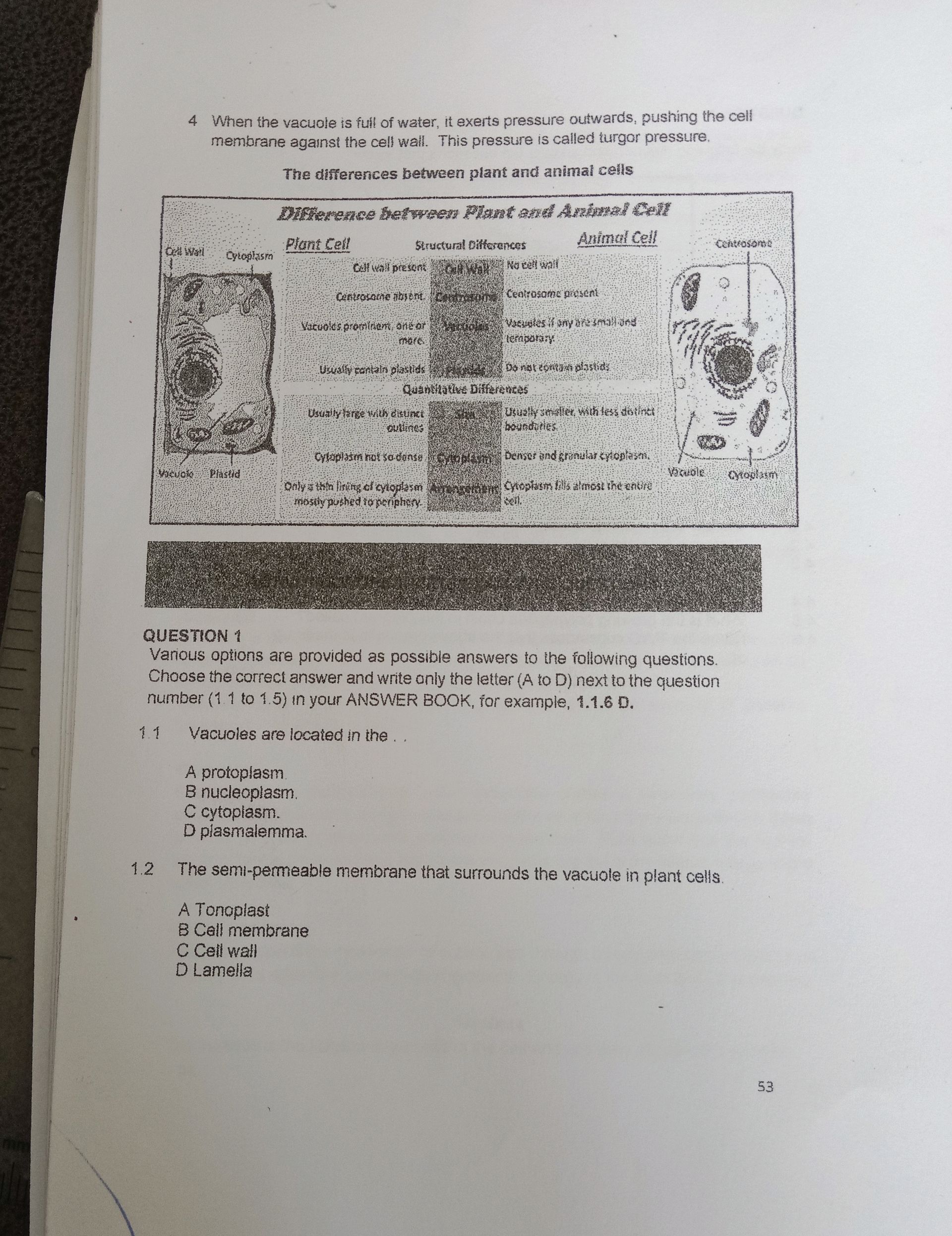 The differences between plant and animal | StudyX