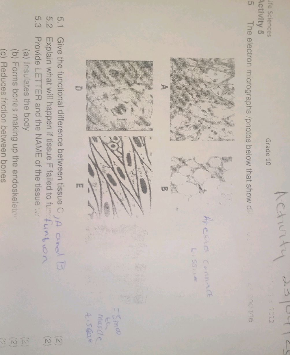 5.1 Give the functional difference between | StudyX