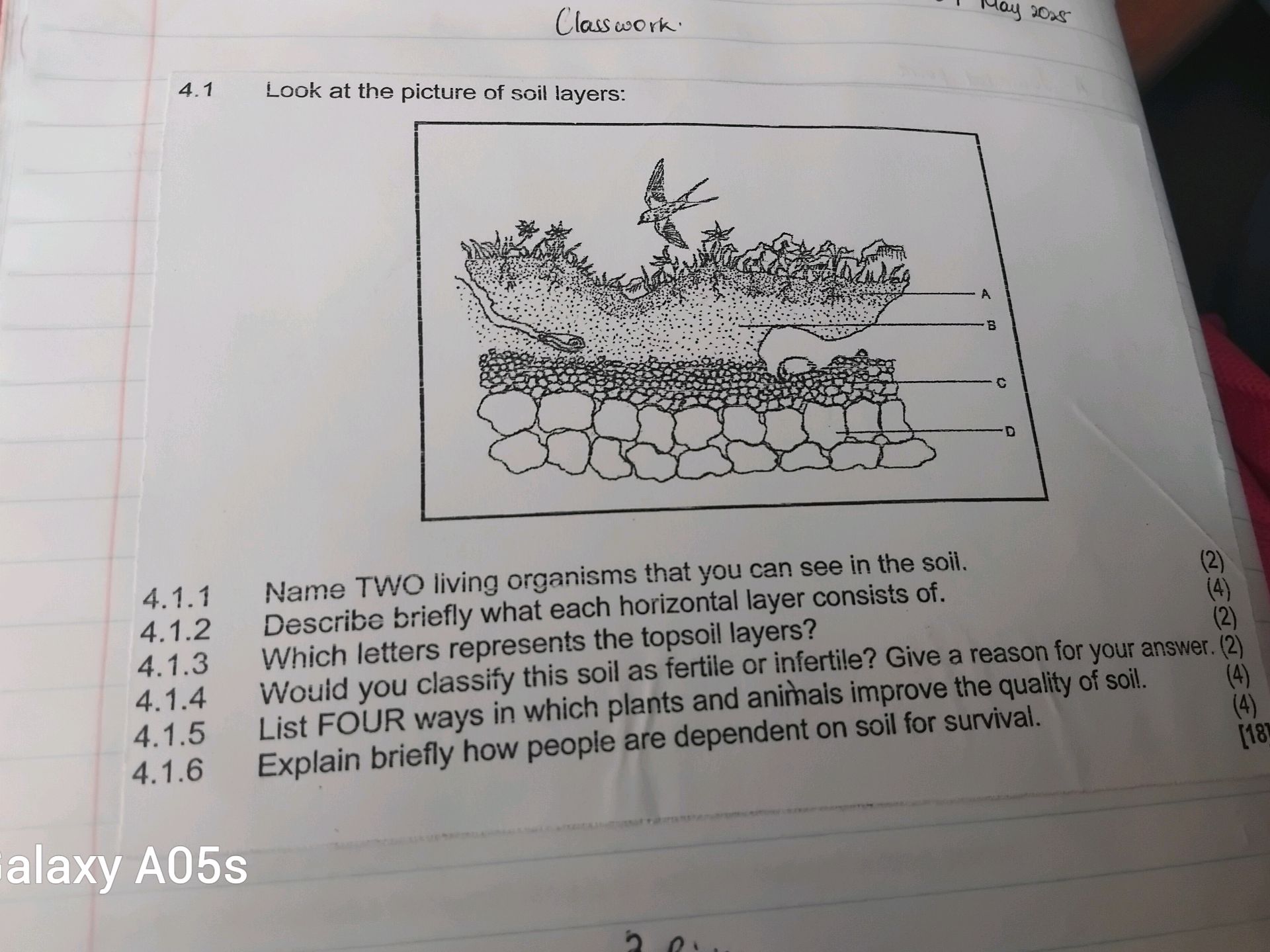 4.1 Look at the picture of soil layers: | StudyX