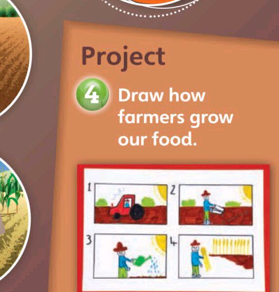 How farmers grow food drawing project | StudyX