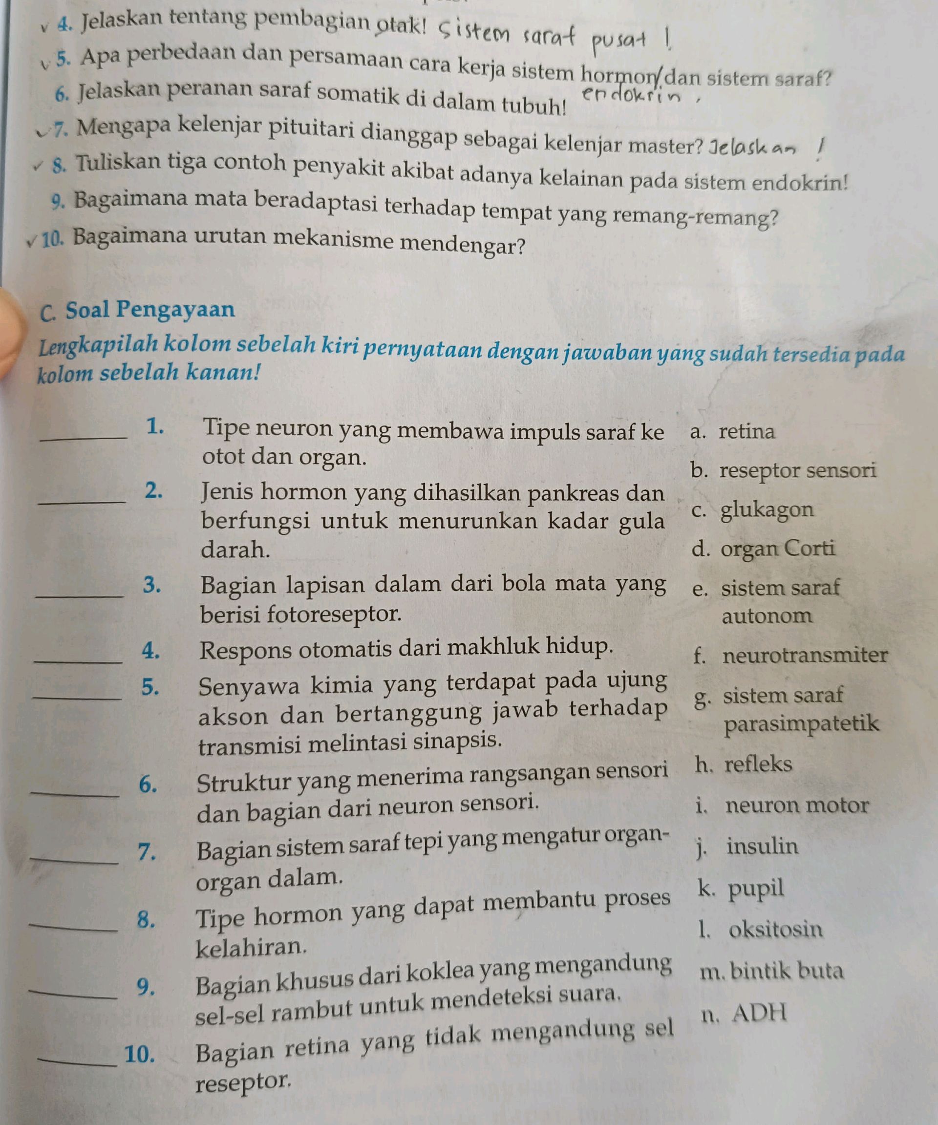 1. Tipe neuron yang membawa impuls saraf ke | StudyX