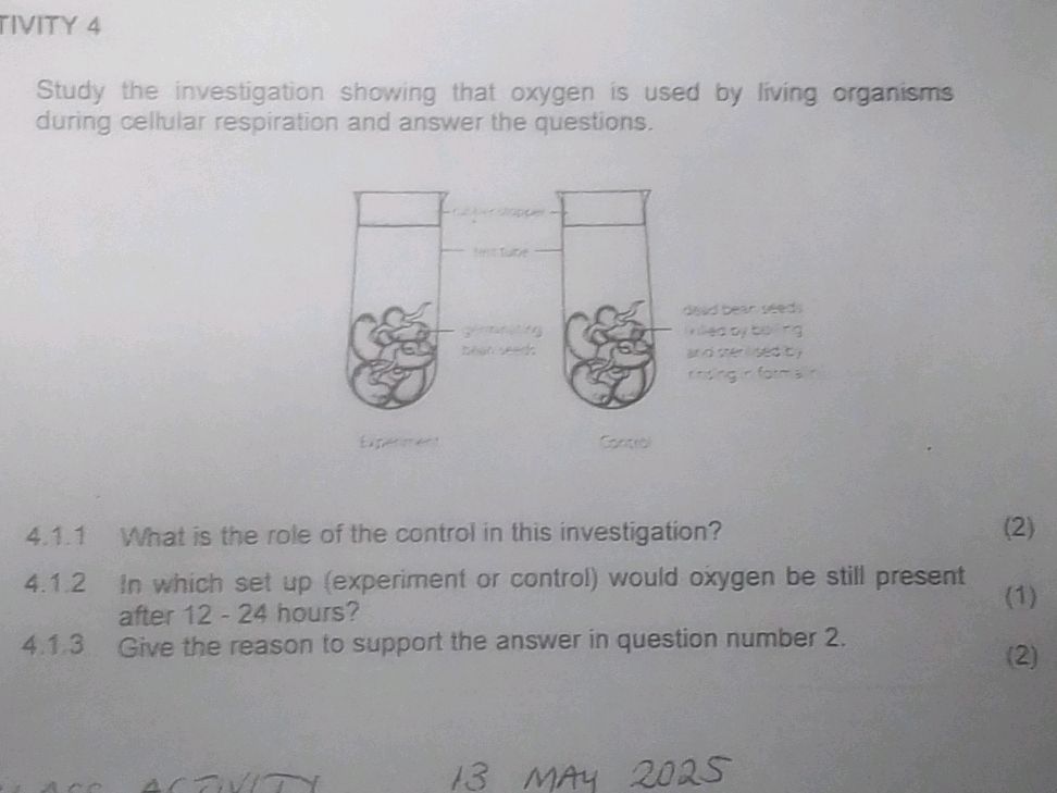 Study the investigation showing that oxygen | StudyX