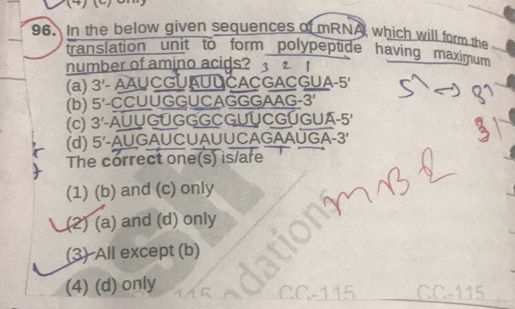 96. In the below given sequences of mRNA, | StudyX