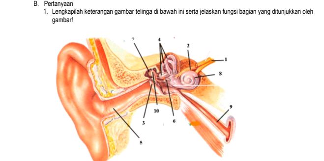 B. Pertanyaan 1. Lengkapilah keterangan | StudyX