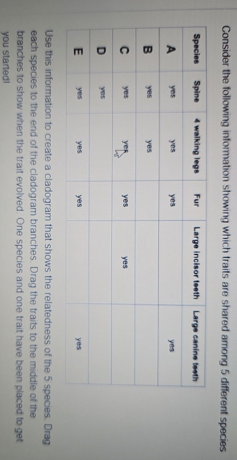 Consider the following information showing | StudyX