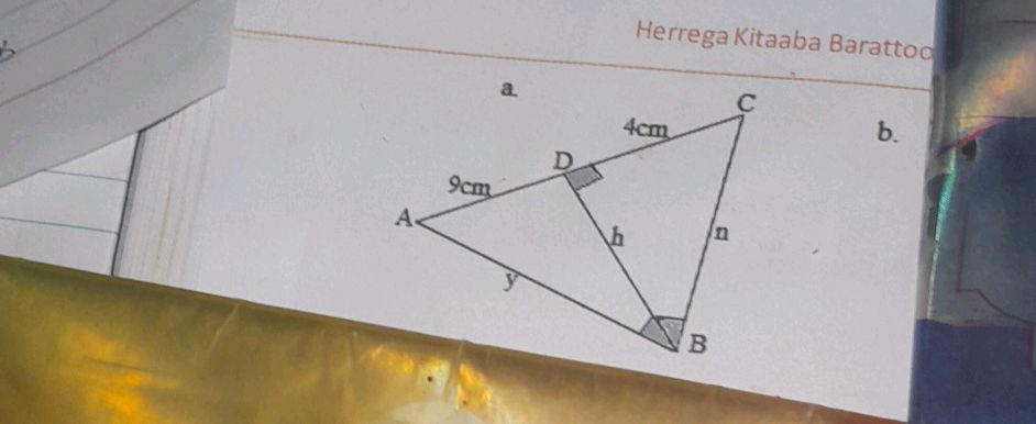 A triangle with sides labeled as follows: * | StudyX