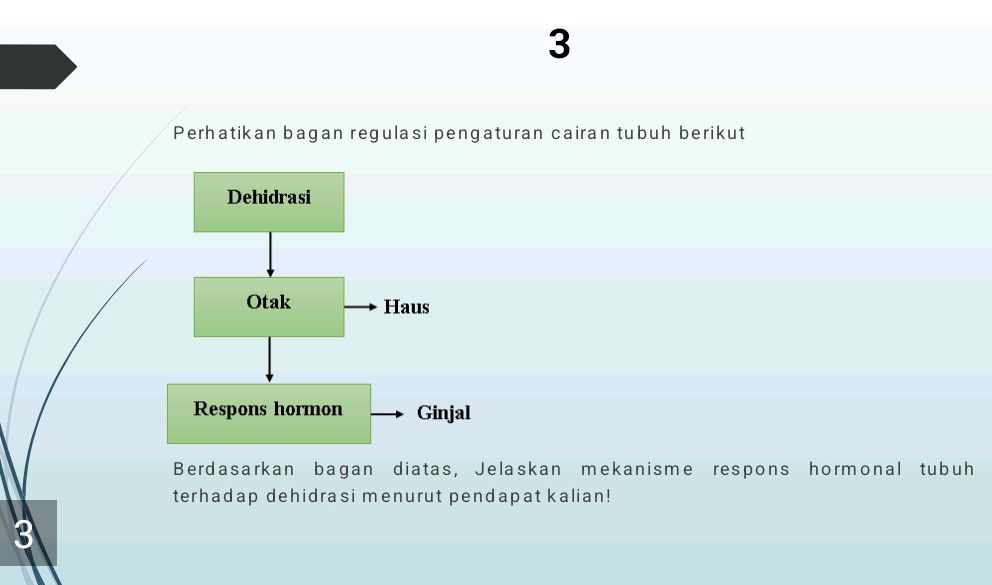 Perhatikan bagan regulasi pengaturan cairan | StudyX