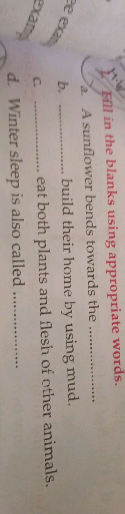 Fill in the blanks using appropriate words. | StudyX