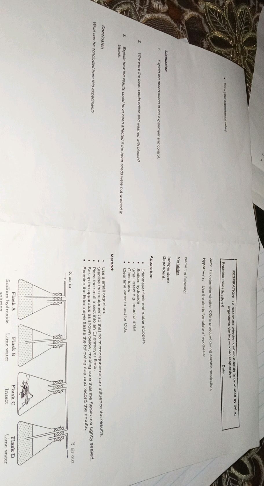 Draw your experimental set-up. RESPIRATION: | StudyX