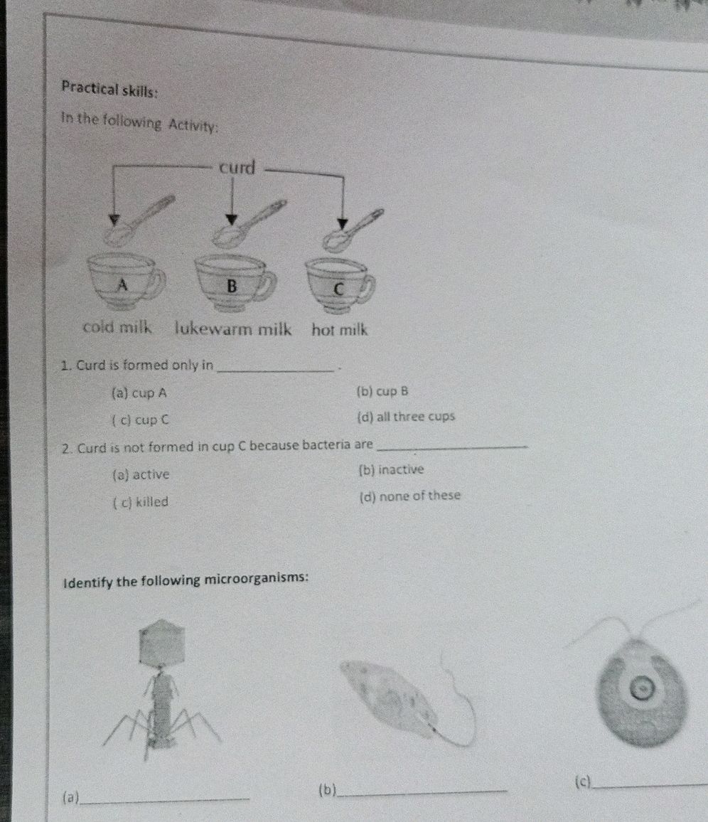 Practical skills: In the following Activity: | StudyX