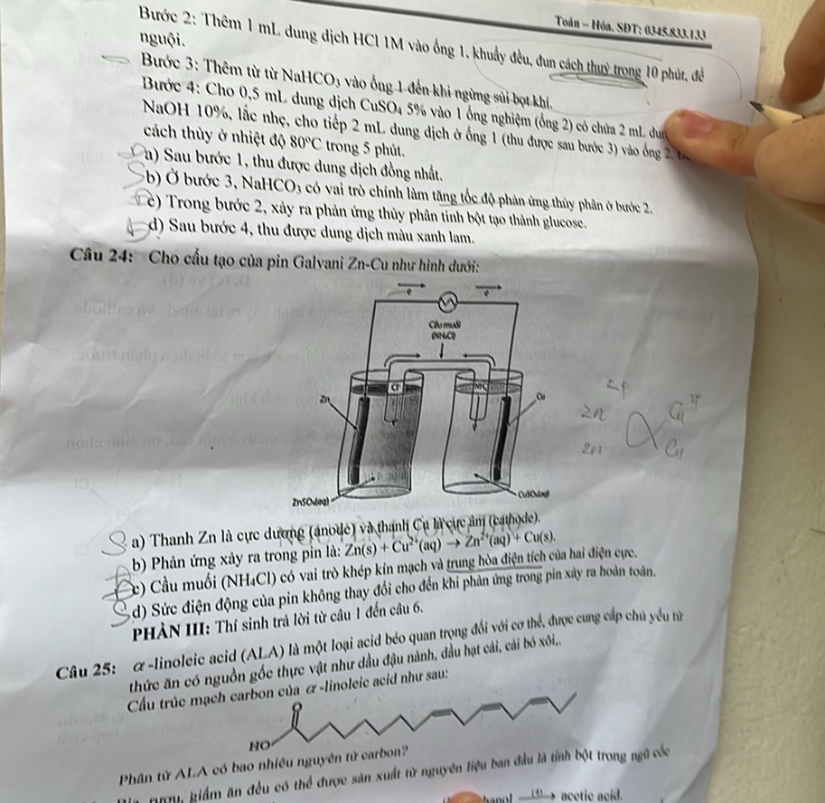 Câu 24: Cho cấu tạo của pin Galvani Zn-Cu | StudyX