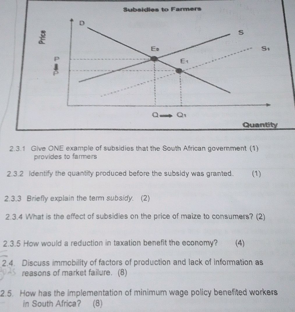 2.3.1 Give ONE example of subsidies that the | StudyX