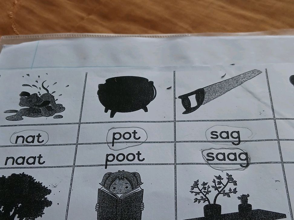 Matching words to pictures | StudyX