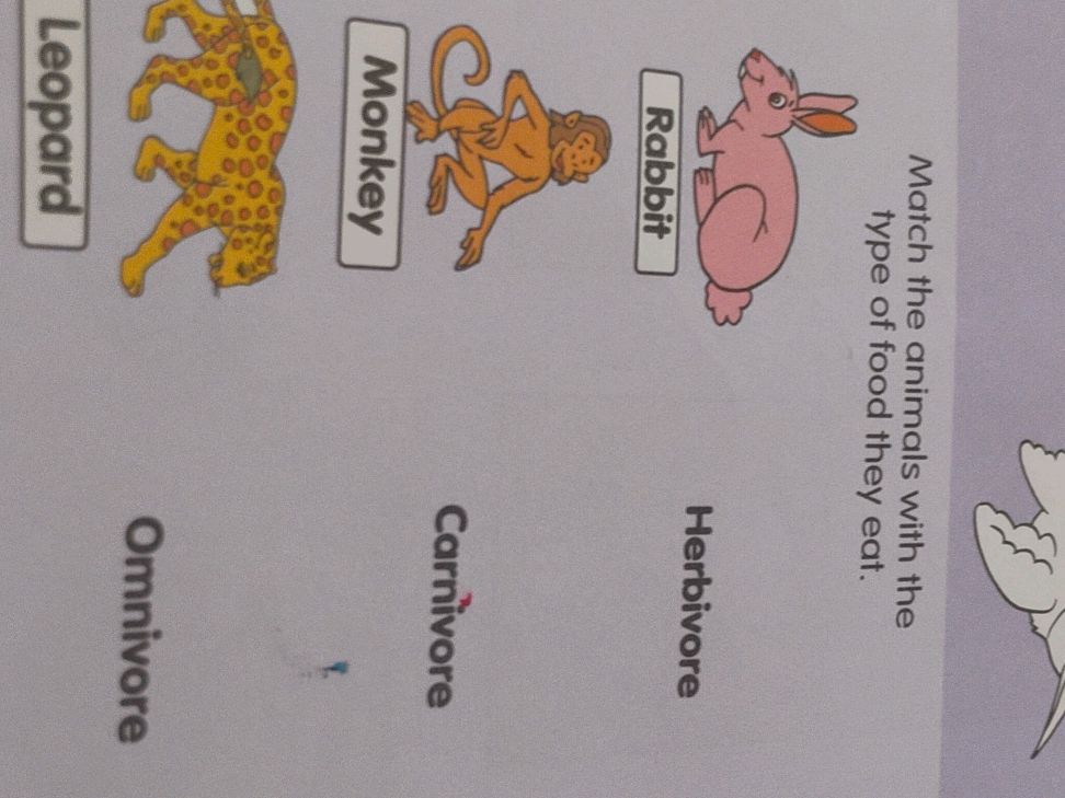 Match the animals with the type of food they | StudyX