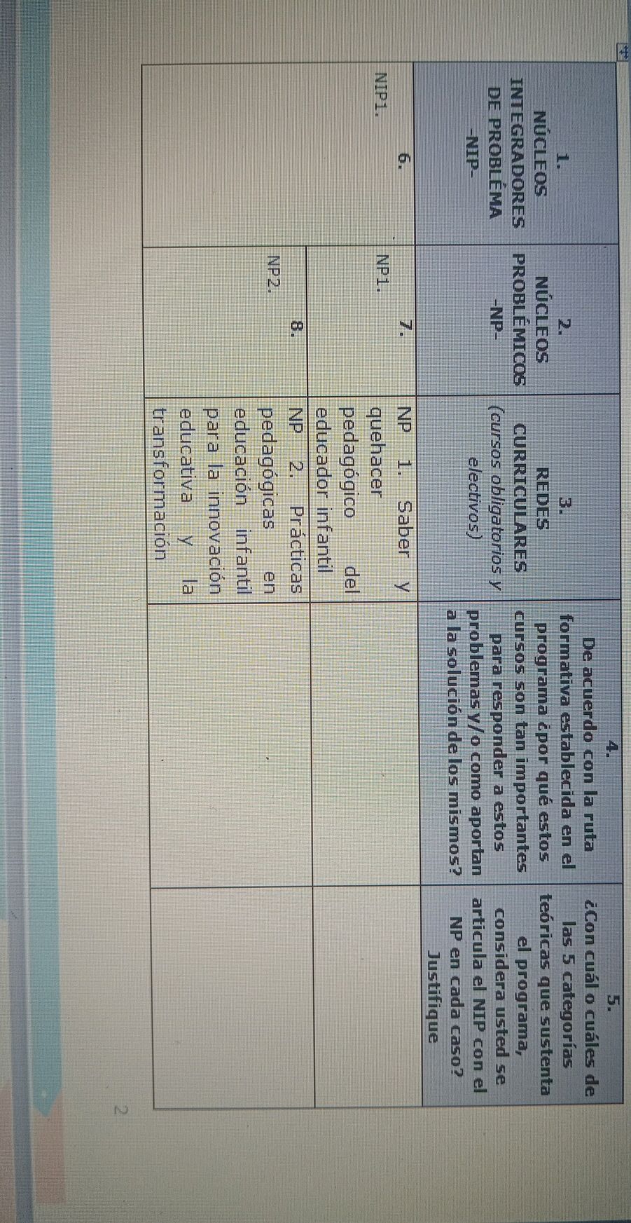1. NÚCLEOS INTEGRADORES DE PROBLÉMA -NIP- | StudyX
