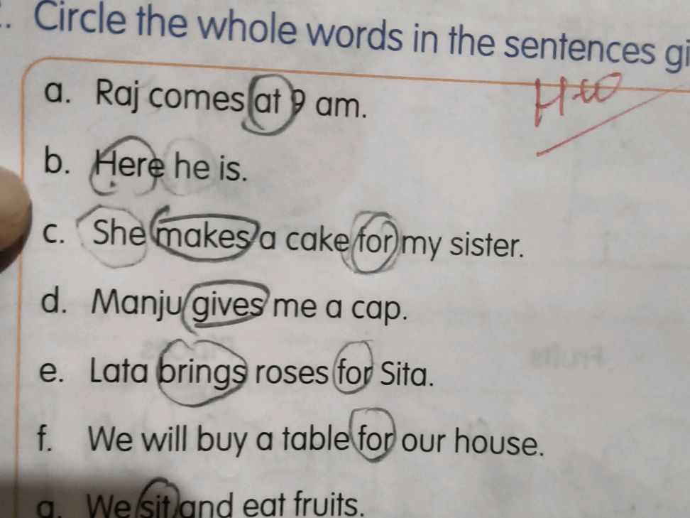 Circle the whole words in the sentences | StudyX
